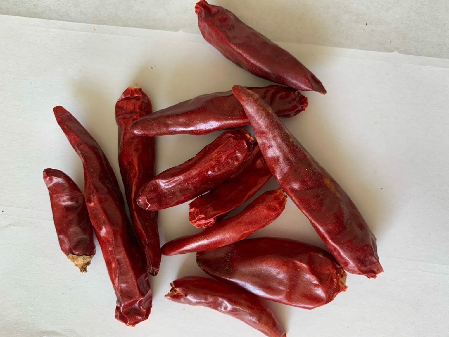 Bullet dried whole chillies 10g - The Spiceworks | Online Wholesale ...