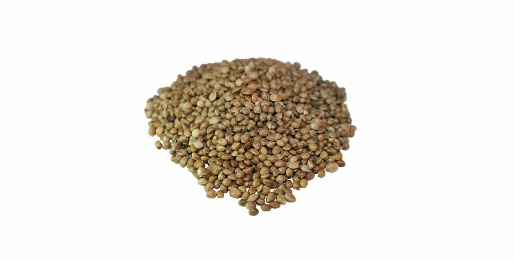 Hemp seeds in whole shells - The Spiceworks | Online Wholesale Dried ...