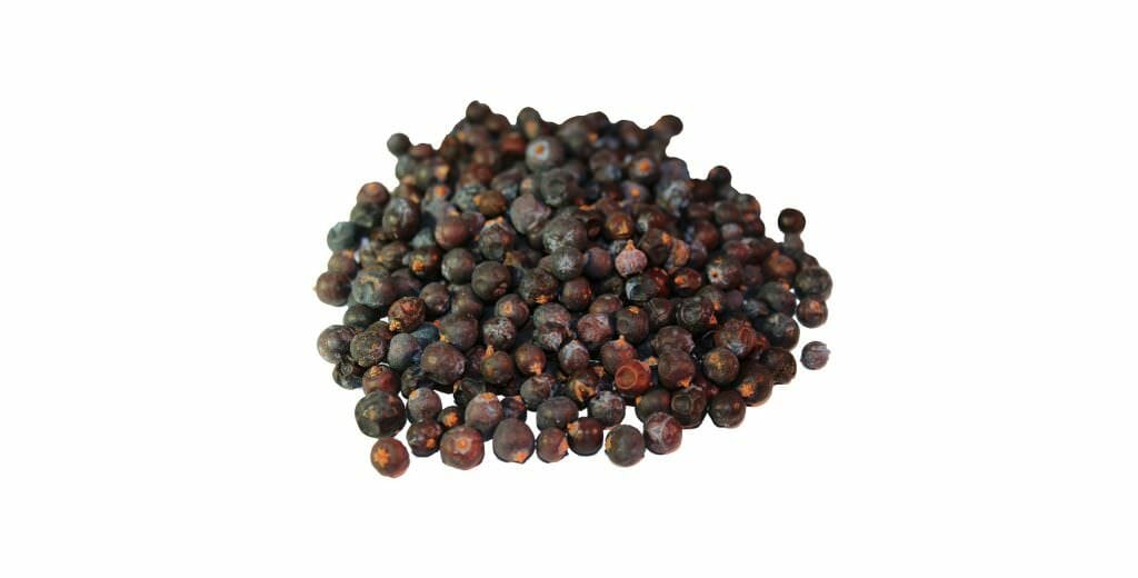 Juniper berries, whole dried - The Spiceworks | Online Wholesale Dried ...