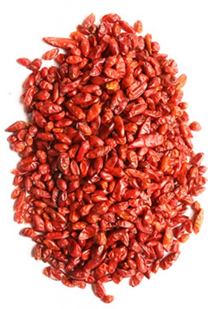 Birds Eye Piquin dried chilli 10g - The Spiceworks | Online Wholesale ...